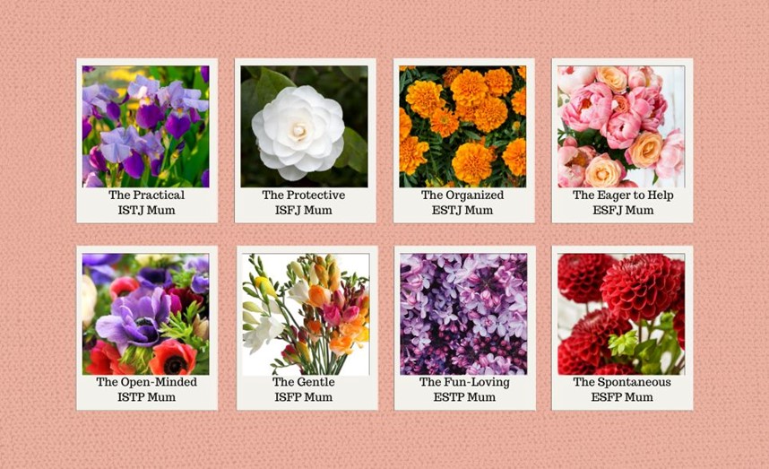Part 2: The Best Flower Gifts Based on Your Mum's MBTI Personality Type